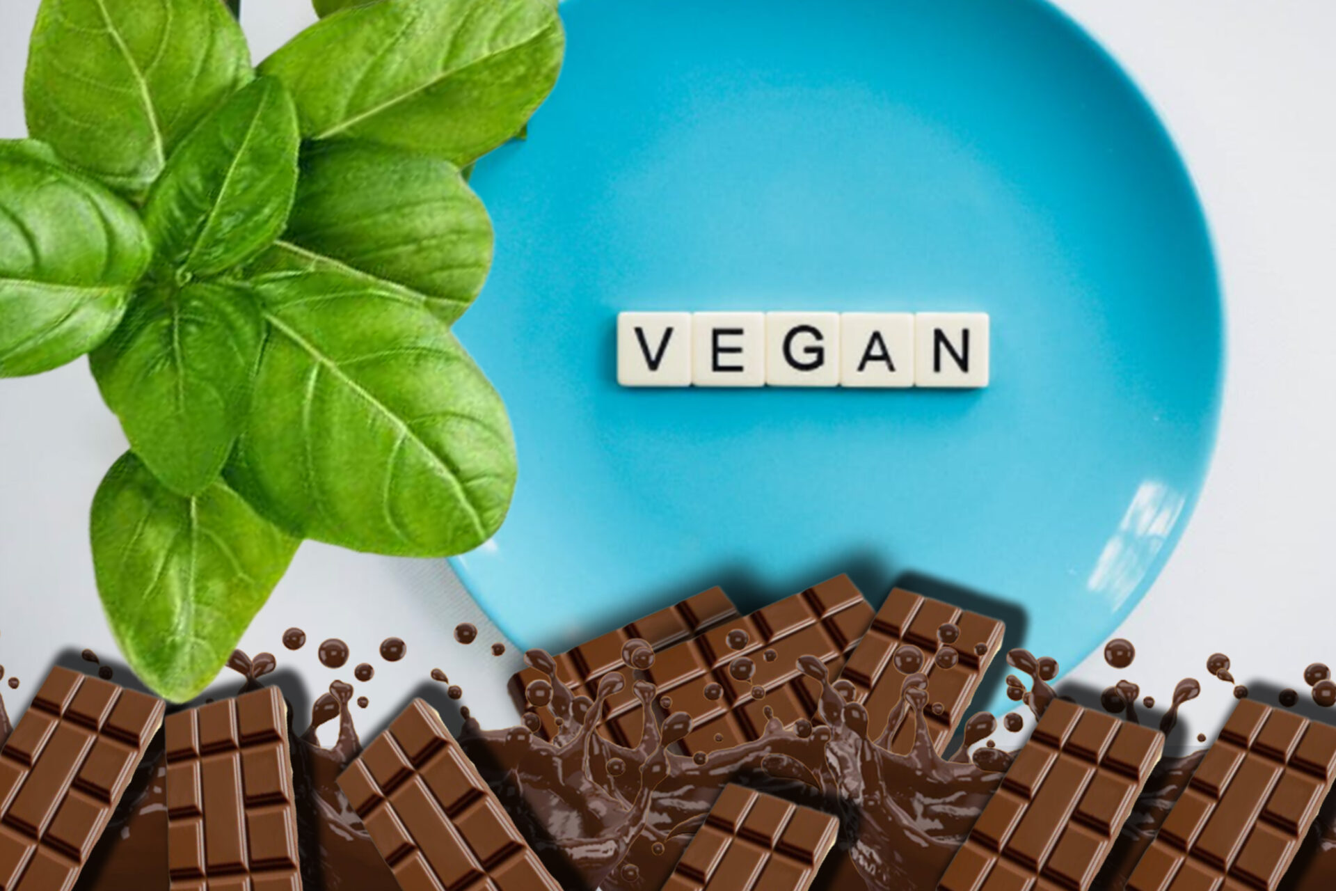 MilkinOats – The First of Its Kind Vegan Chocolate | CXO Content